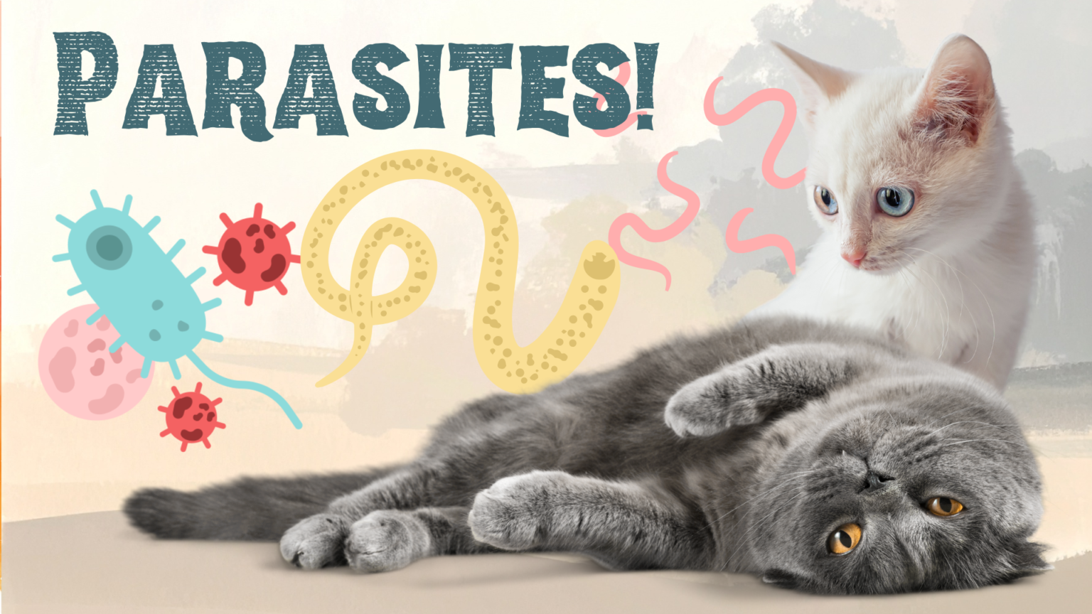 Parasite Prevention for Dogs and Cats | Burien Veterinary Hospital